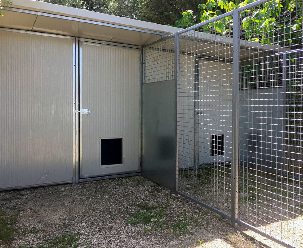 2 box professionali zincati per cani 5x2m con giraciotole e zona notte ...