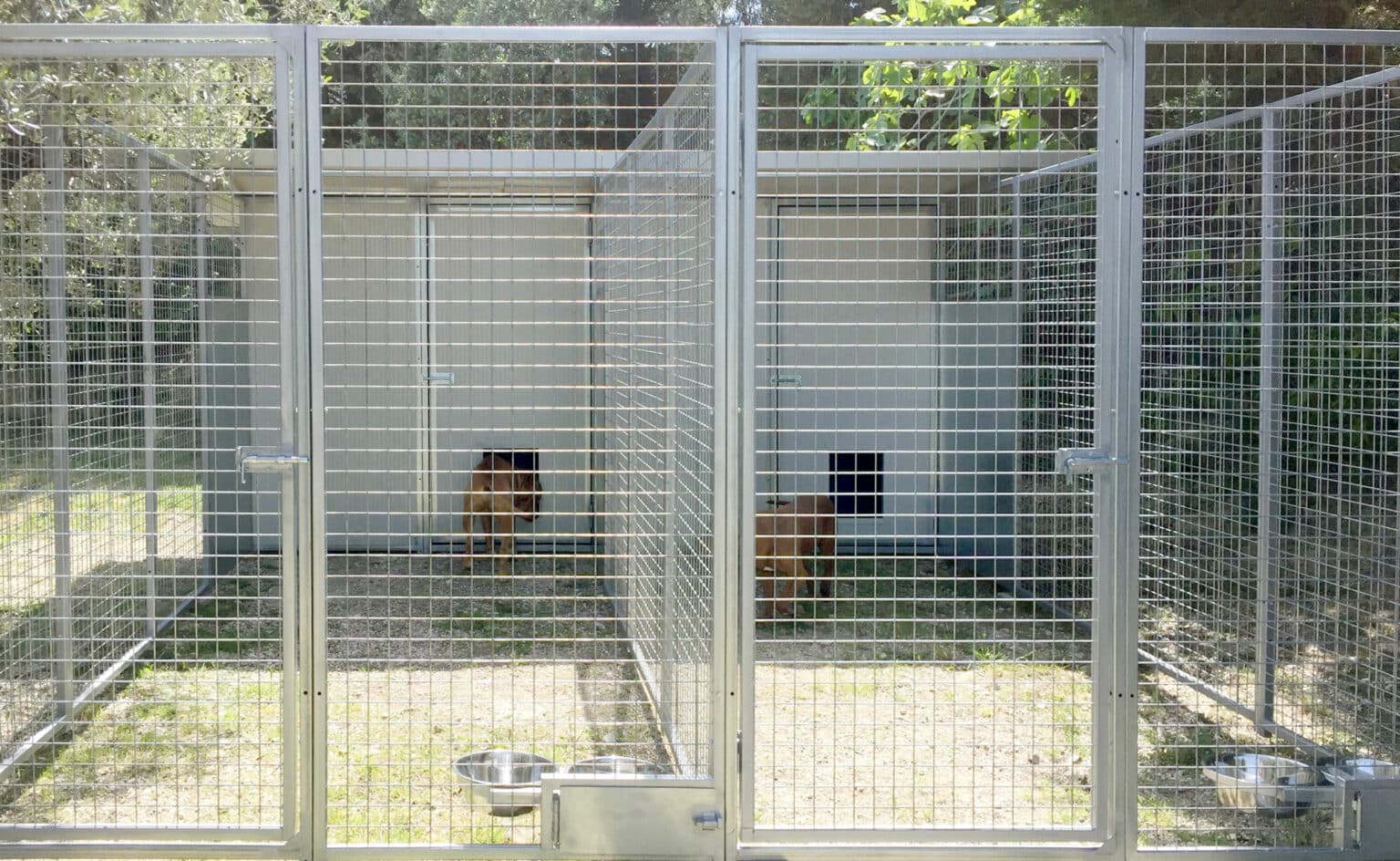 2 box professionali zincati per cani 5x2m cadauno, con giraciotole e ...