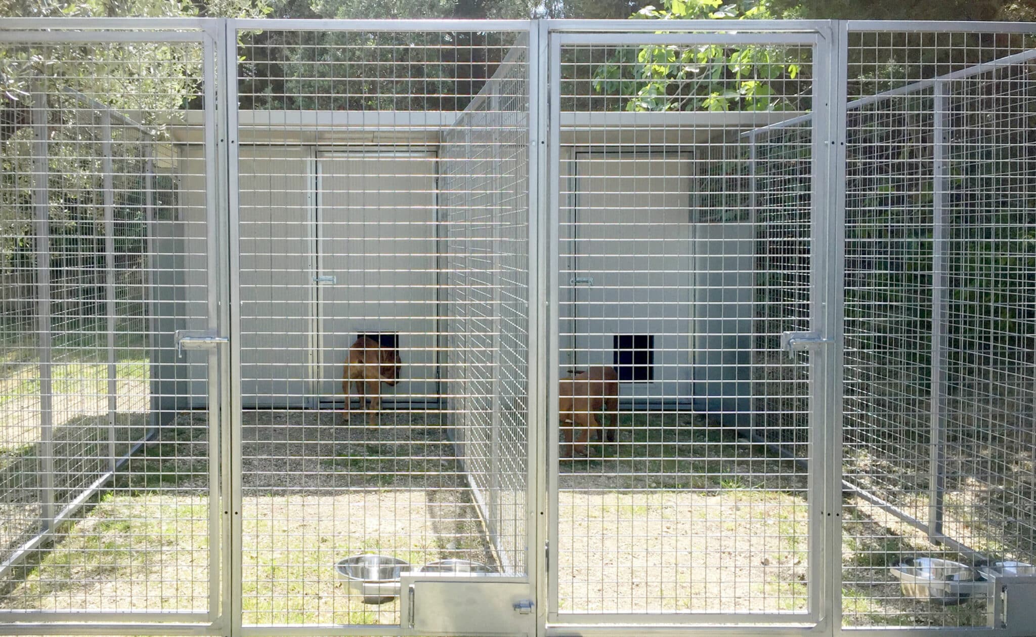 2 box professionali zincati per cani 5x2 m cadauno, con giraciotole e ...