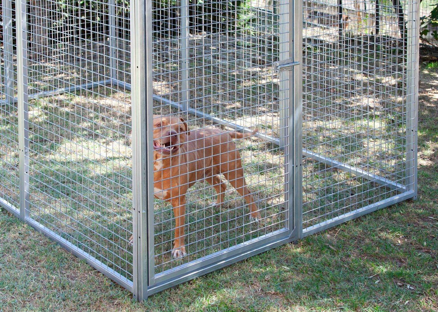 Normative e metrature minime per box e recinti per cani: Guida completa ...