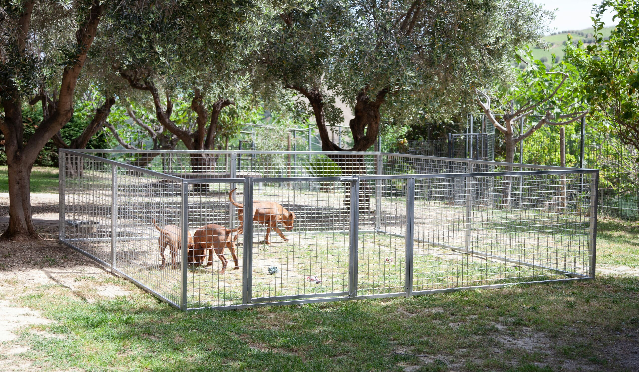 Pannello rete professionale 1x2 m in metallo per box cane o recinti ...